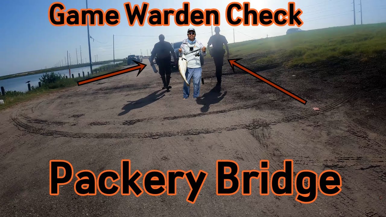 Redfish Fishing at Packery bridge + Game Warden Check CC Texas - YouTube
