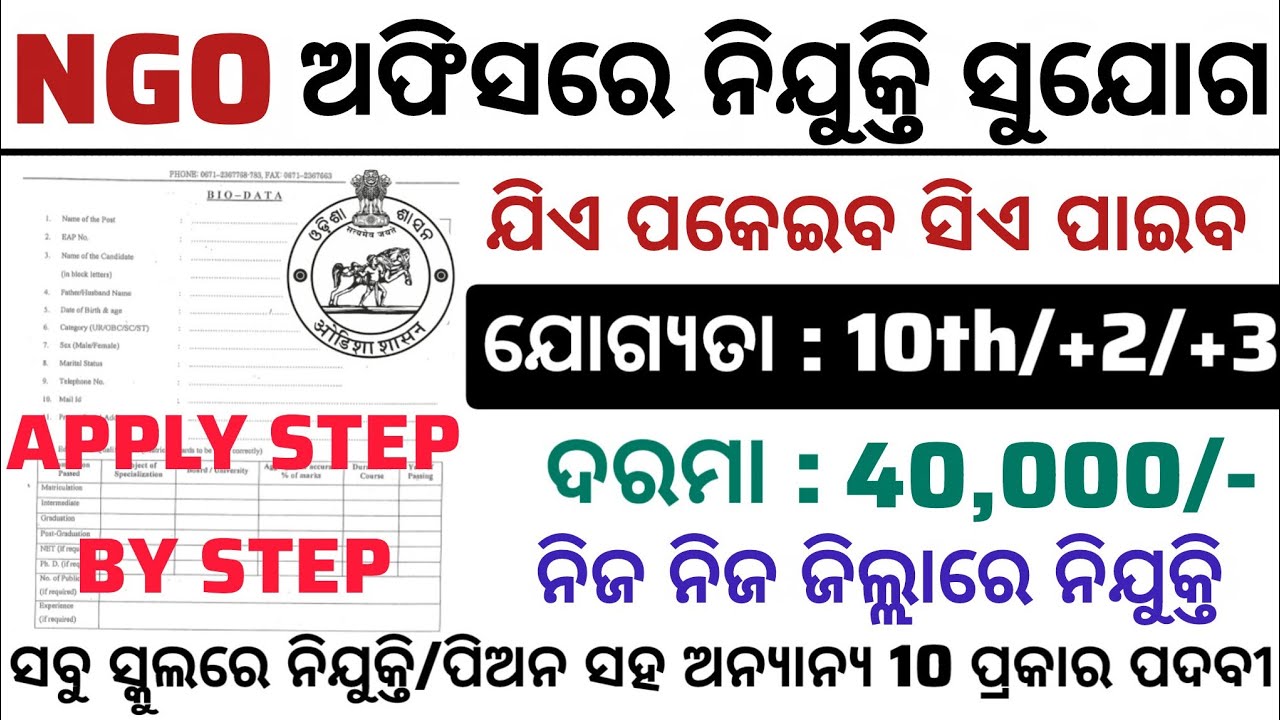 NGO Office Recruitment 2025//Salary 40,000/-PM//NGO Office Job Vacancy ...