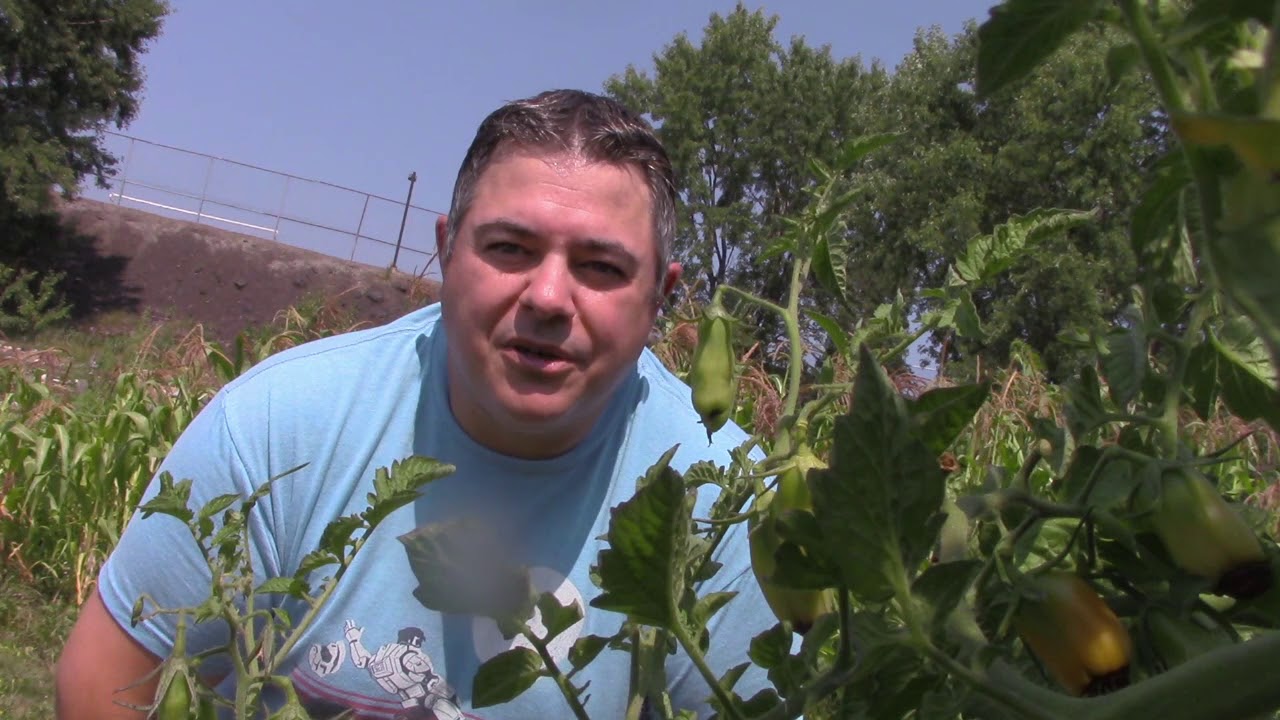 Master Chef Canada Season 6 Chris Mask Audition Video - YouTube