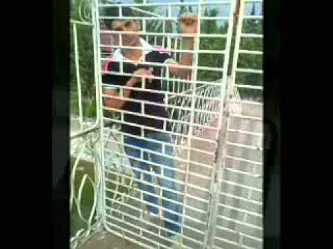 Kurdemir usaqlari SHERTAZ