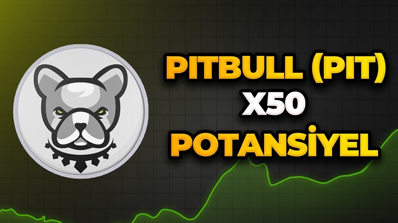 PITBULL TOKEN İNCELEME - BİNANCE LİSTELEMESİ Mİ GELİYOR YOKSA ? - YouTube
