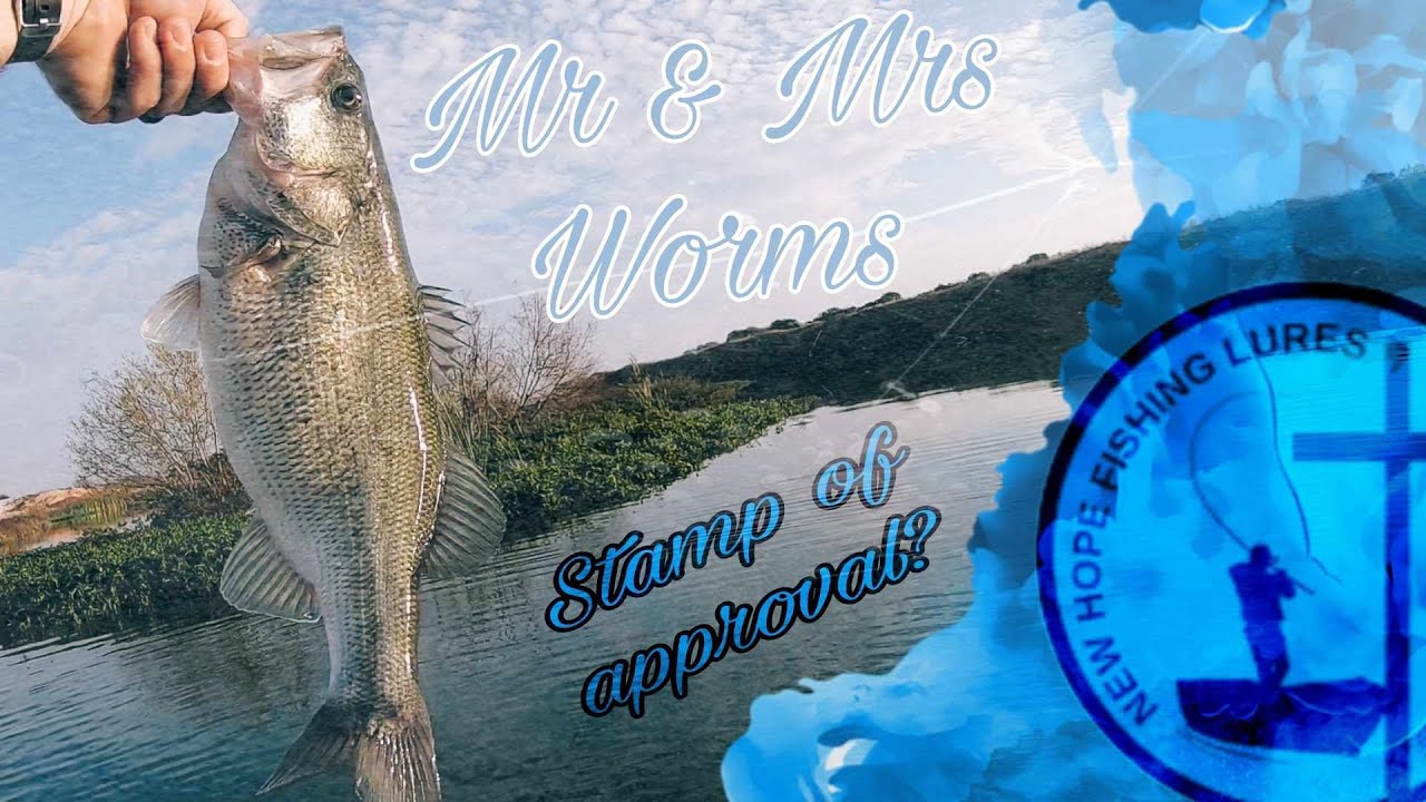 Testing Out The New Hope Worms - YouTube