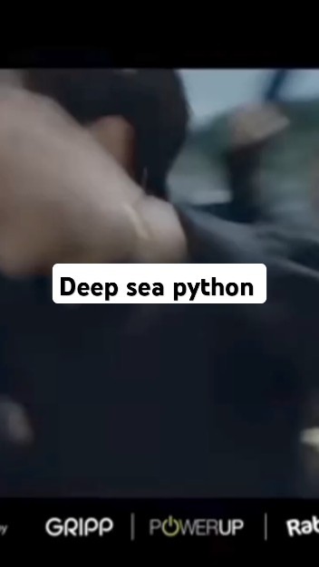 Deep sea python 2023 - YouTube