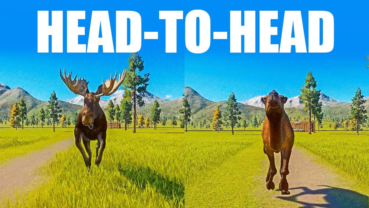 Moose vs Dromedary Camel A Head to Head Speed Race in Planet Zoo - YouTube