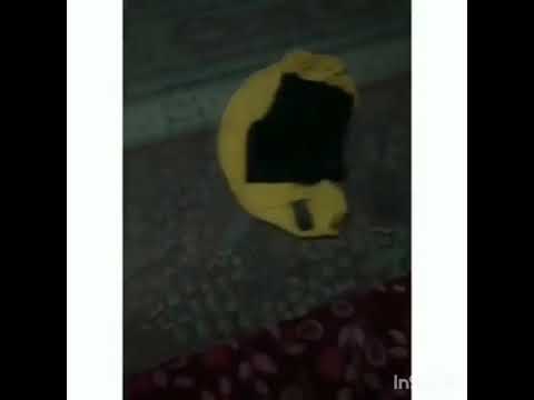 Kumpulan tiktok toge bikin tegang