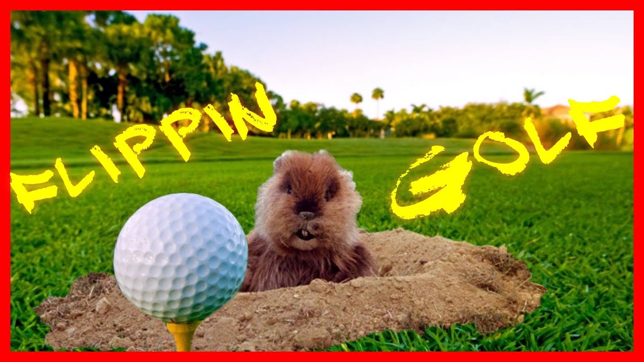 Flippin Fun Friday It's all in the Hips! GOLF WITH YOUR FRIENDS - YouTube