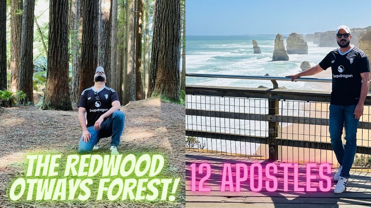 A Day Trip to 12 Apostles & the Redwood Otways Beach Forest | Melbourne ...