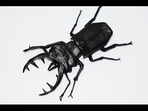 Complex Origami, Folding The Impossible Teaser. - YouTube