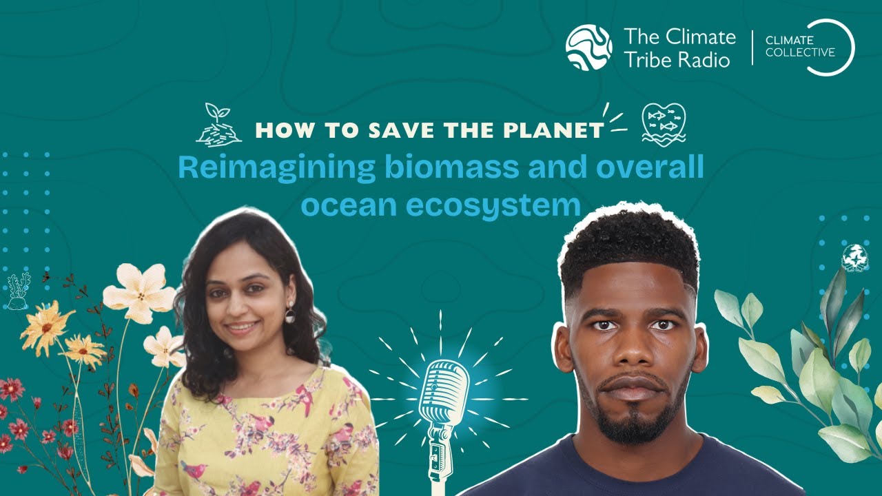 How to make Biomass more useful for the ecosystem | Climate Startup ...