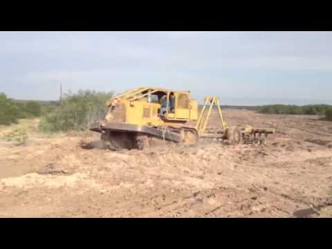 Root raking - YouTube