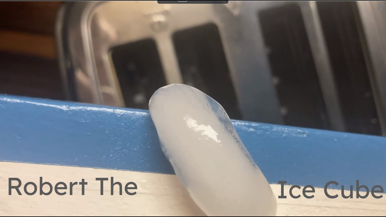 Robert The Ice Cube - YouTube