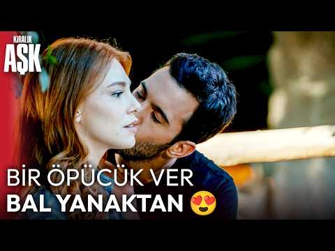 Defne'yi Öpmek İçin An Kollayan Ömer Tatlılığı | Kiralık Aşk