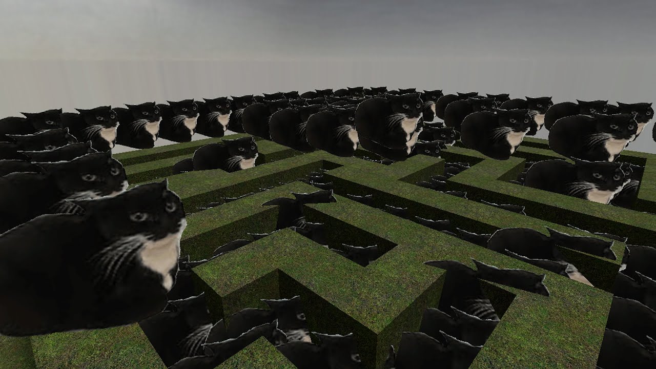 Trying to Escape from Maxwell Cat Nextbot Army in Maze - YouTube
