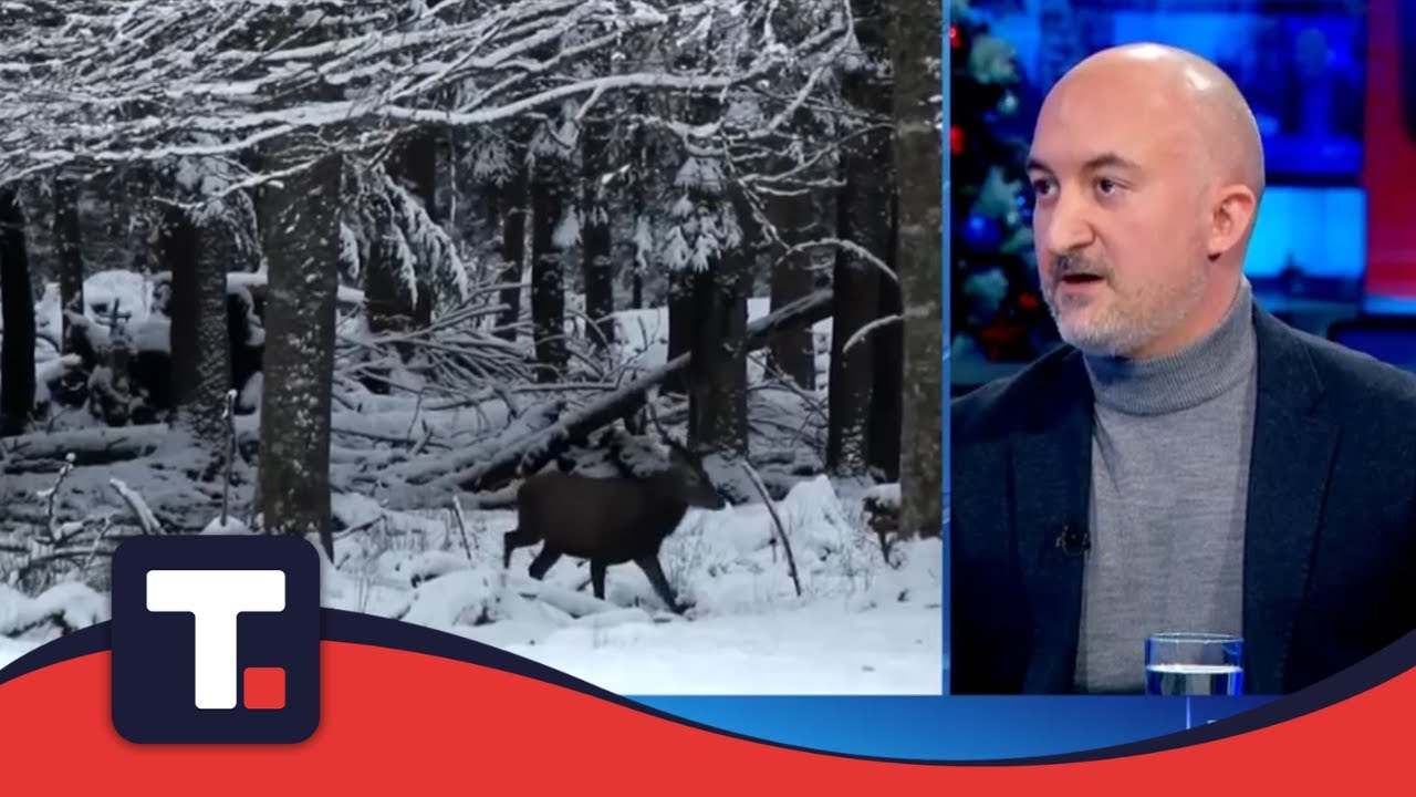 Novi sneg? - Slobodan Sovilj • DOBRO JUTRO TANJUG - YouTube