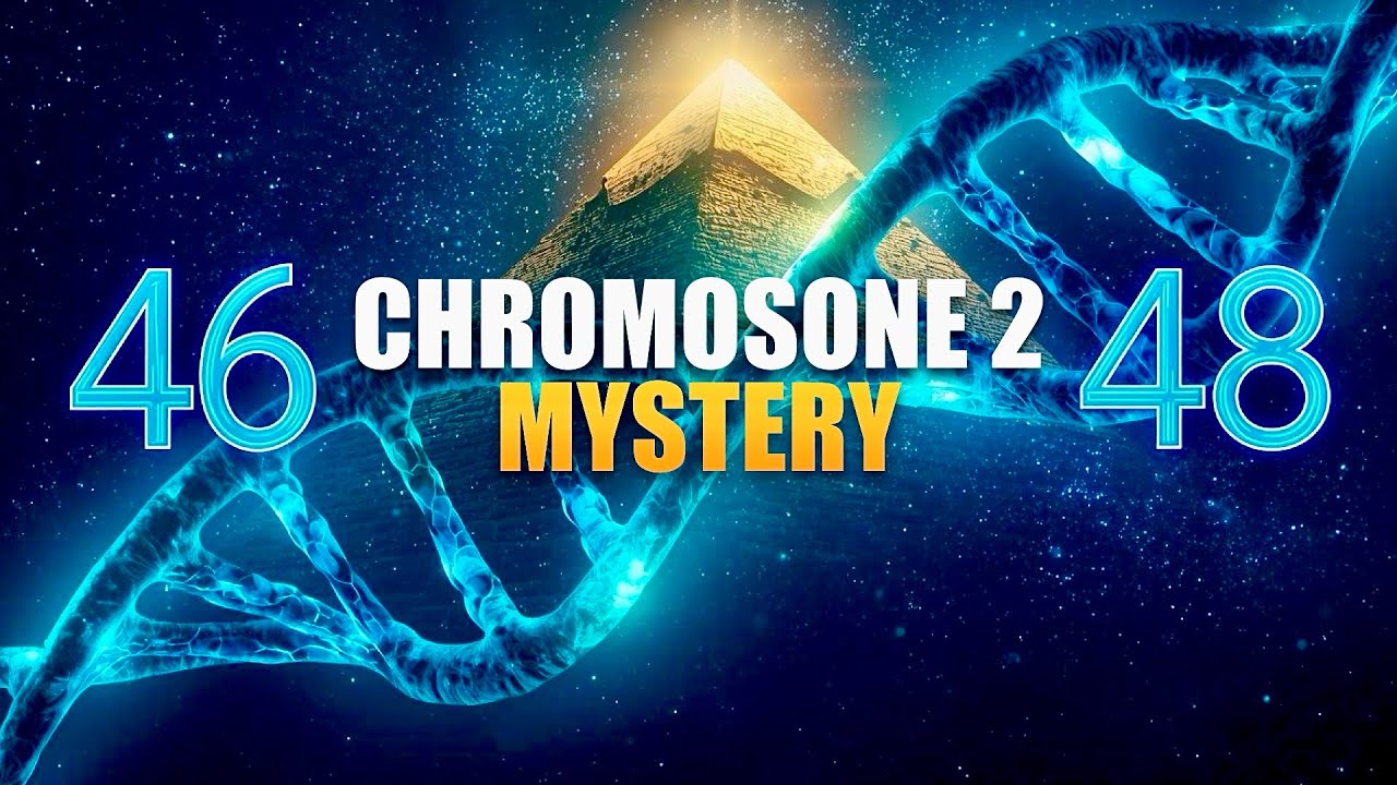 Chromosome 2: The Mystery That Rewrites Human History 🧬 - YouTube