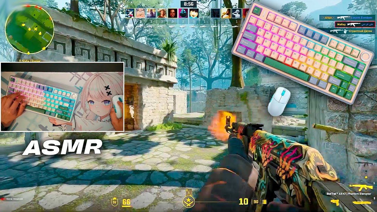 AULA F75 ASMR CHILL 🤩 ARMS RACE RELAXING CS2 GAMEPLAY ASMR 😴 FROM ZERO ...