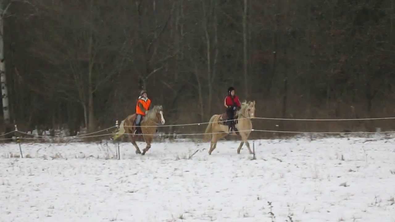 More crazy kids riding horses - YouTube