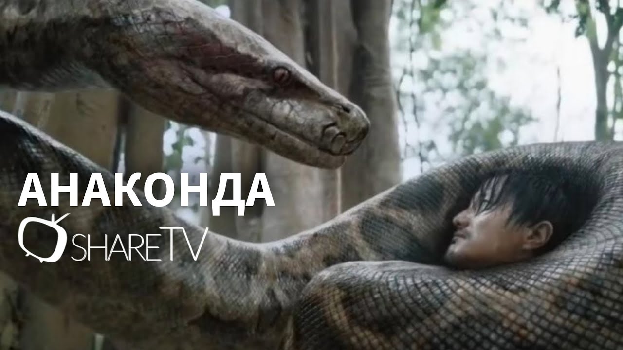 АНАКОНДА ТРЕЙЛЕР// ANACONDA TRAILER 2024 [ENG SUB] - YouTube