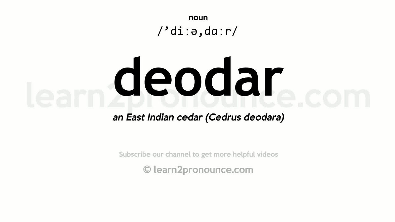 Pronunciation of Deodar | Definition of Deodar - YouTube