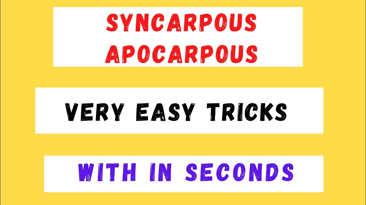 Syncarpous And Apocarpous Tricks || - YouTube