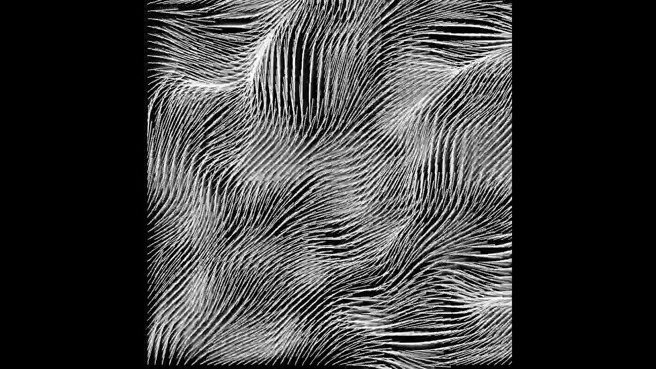 Vector Field Touchdesigner Version 4 - YouTube