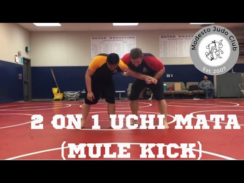 2 on 1 Mule Kick (Uchi Mata) - YouTube