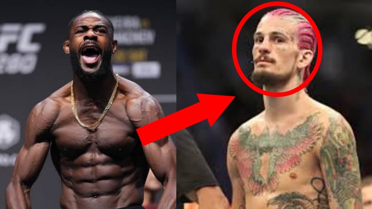 UFC 292 ALJAMAIN STERLING TAKES ON SUGA SEAN O MALLEY!! - YouTube