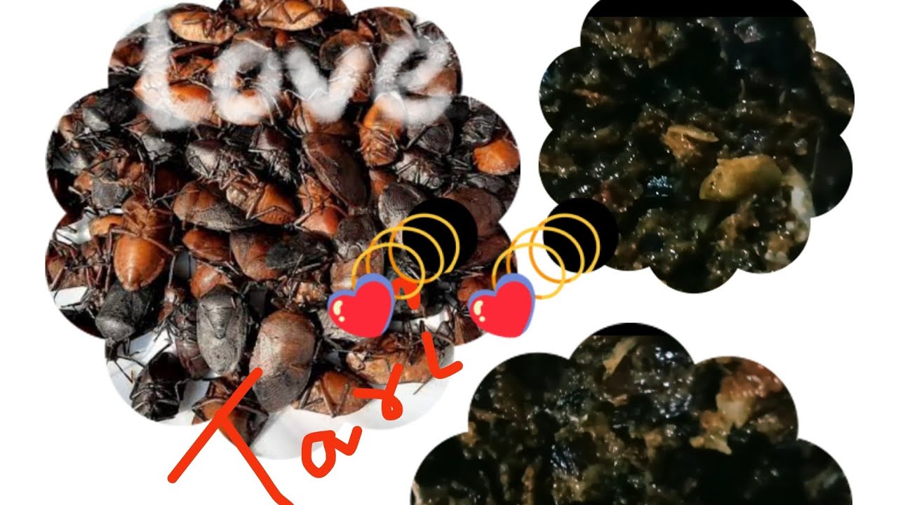 Arunachal pradesh famous unique chutney //Tari (bugs)and Tekye(Fruit ...