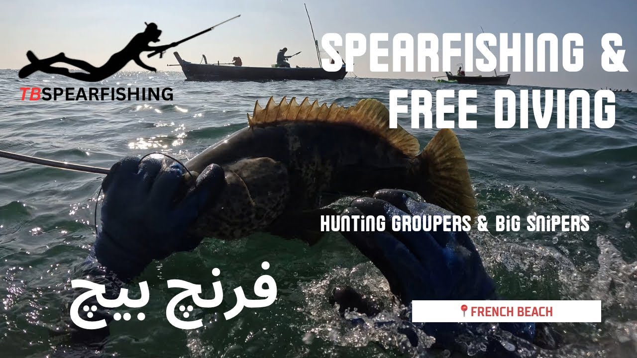 Spearfishing & Free-Diving | Hunting Big Groupers & Snappers | French ...