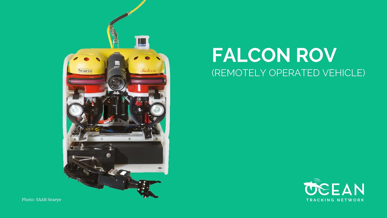 OTN goes deeper with 1000-metre rated Falcon ROV - YouTube