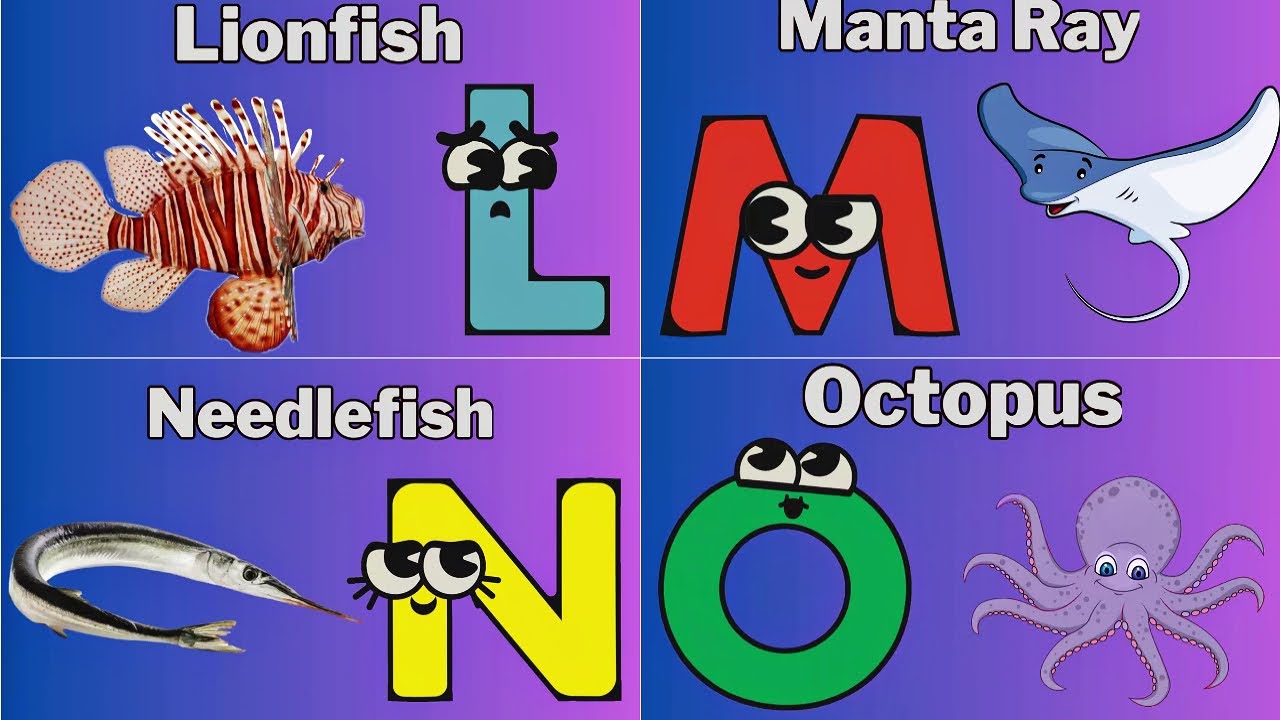 ABC Song | Sea Animals ABC Song | Phonics for Kids, Learn ABC, Baby ...