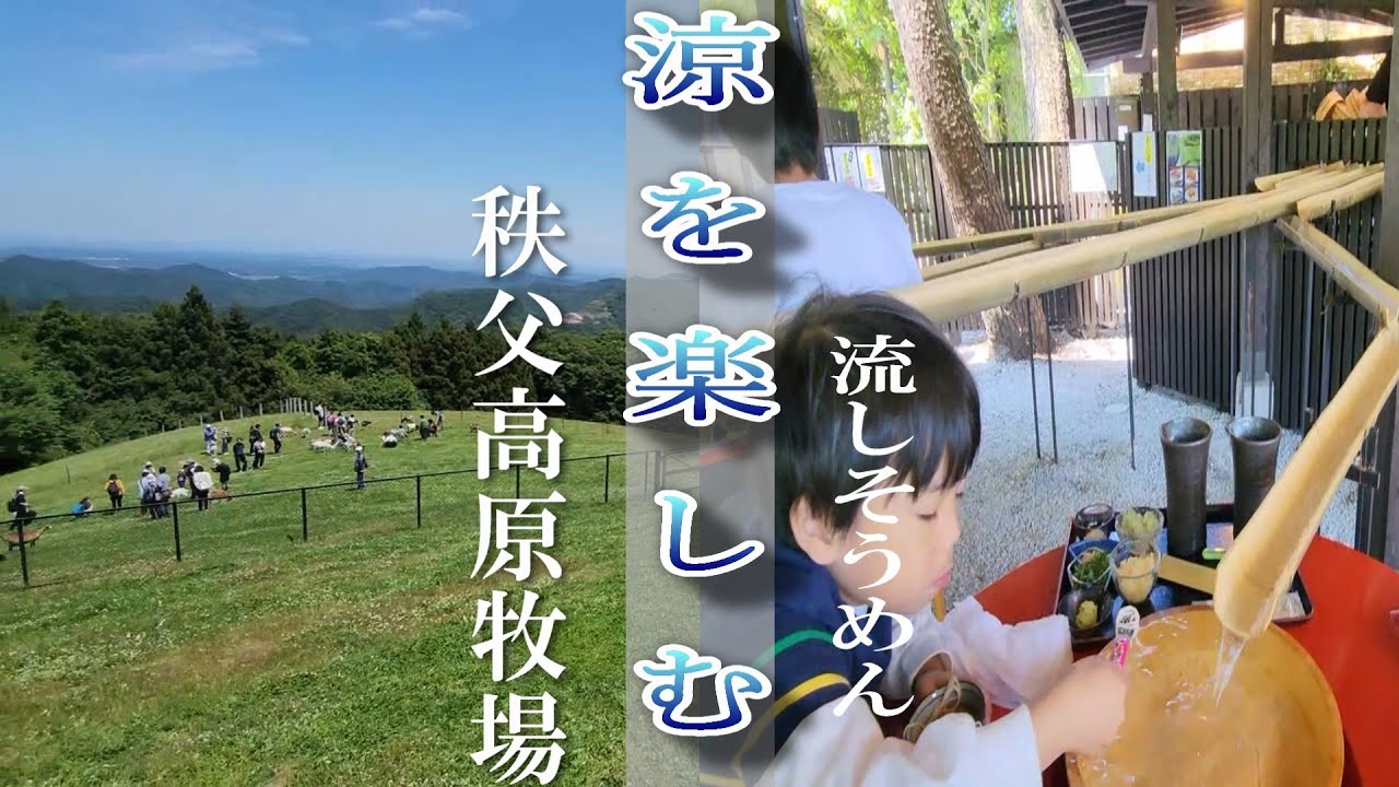 秩父エリアで涼を満喫！流しそうめん 秩父高原牧場 ヤギとの触れ合いやバター作り体験も楽しめる - YouTube