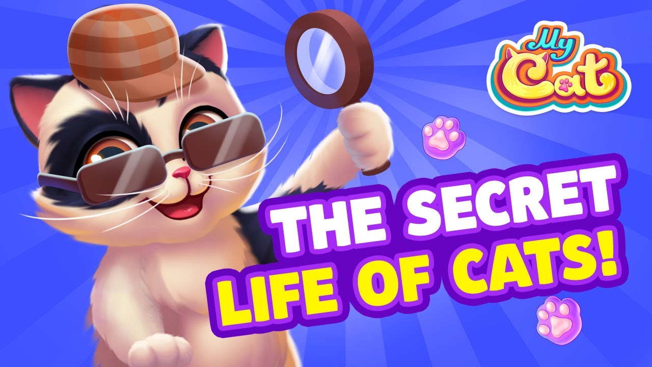 My Cat | Meow-meow, play with me 🐈 - YouTube