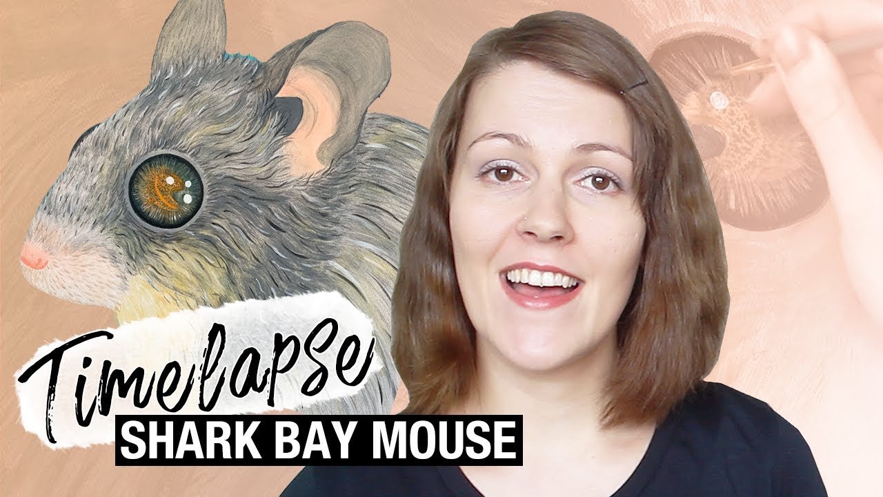 SPECIES: Story of the Shark Bay Mouse (Timelapse Painting) - YouTube