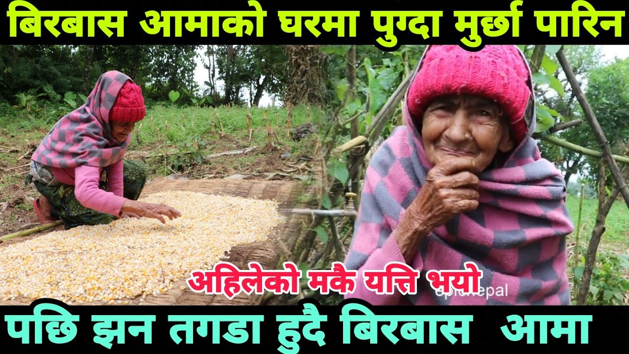 लास्टै हसाउने आमाको घरमा पुग्दा मर्ने गरि हसाइन,मकै यति भए भन्दै अझै ...