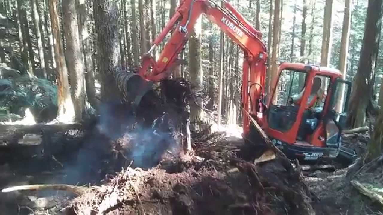 Stump and boulder busting with small excavators - YouTube