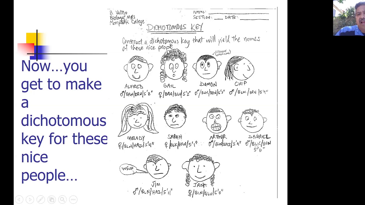 Lab Taxonomy Part 2 - YouTube