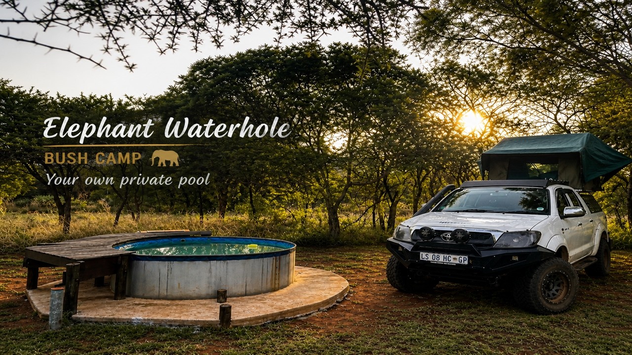 Dinokeng's BEST KEPT SECRET Bush Campsite Revealed | Elephant Waterhole ...