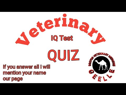 Veterinary Quiz (IQ test) - YouTube
