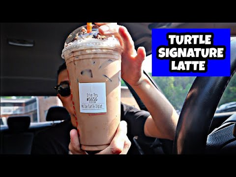 Trying the turtle signature latte ☕️ - YouTube
