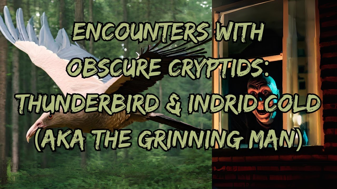 Encounters with Obscure Cryptids: Thunderbird and Indrid Cold - YouTube