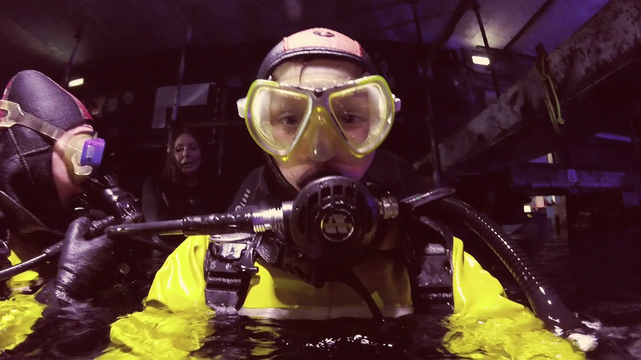 Birthday Shark Dive | 2017 | Deep Sea World | - YouTube