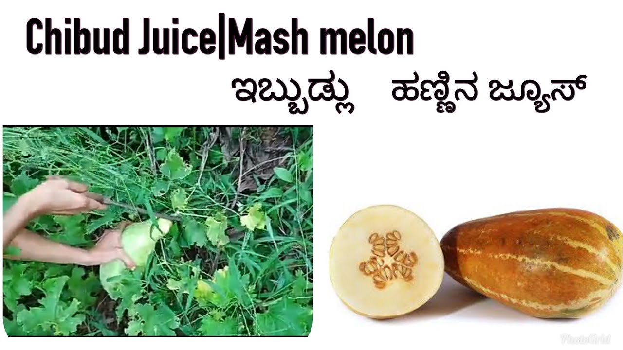 Chibud Juice |Mash melon | ಇಬ್ಬುಡ್ಲು ಹಣ್ಣಿನ ರಸಾಯನ/ಜ್ಯೂಸ್|Summer Drinks ...