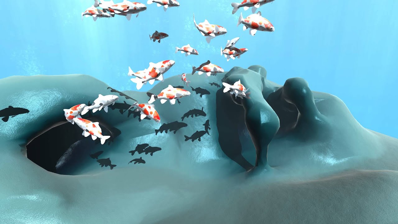 Fish School Koi for Unity 3D - YouTube