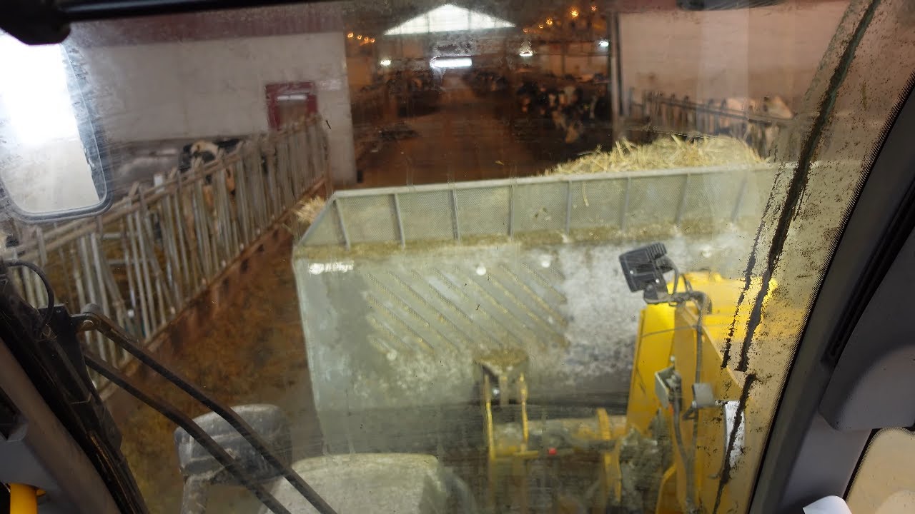 🇸🇪A Day on the Farm #6 Daily Work on the Farm - YouTube