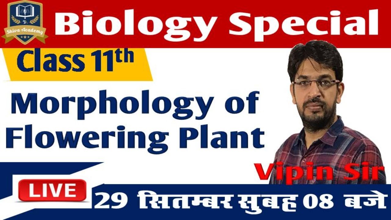 11th Biology || Morphology of Flowering Plant || By Vipin Sir - YouTube