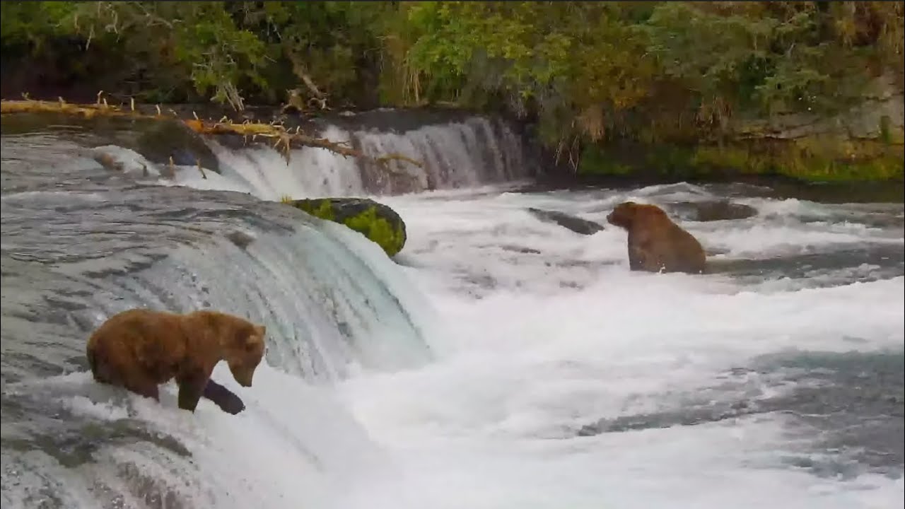 The 910s and 909 Junior Make Their Daily Appearance on the Lip - August ...