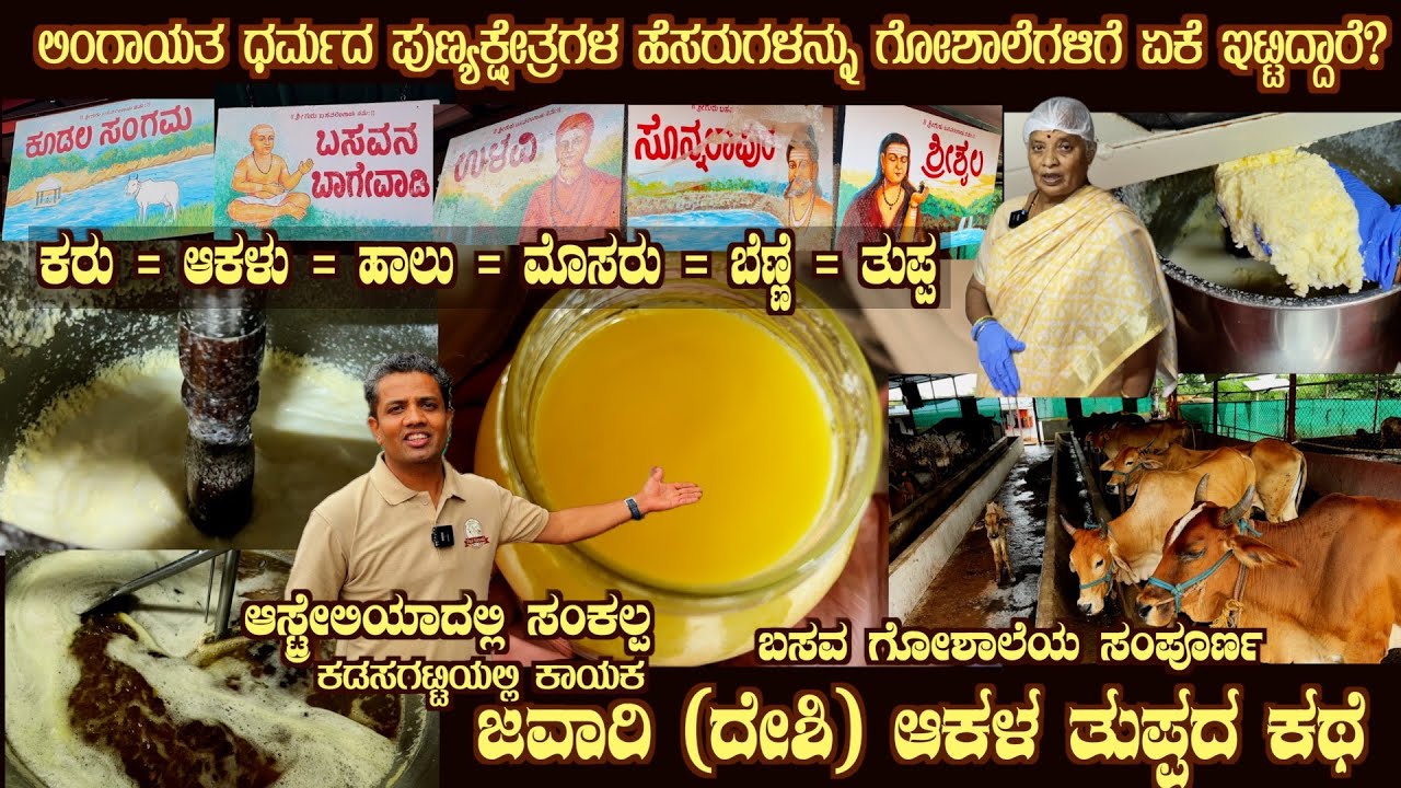 ಜವಾರಿ (ದೇಶಿ) ಆಕಳ ತುಪ್ಪ JAWARI DESI COW GHEE making process shown ...