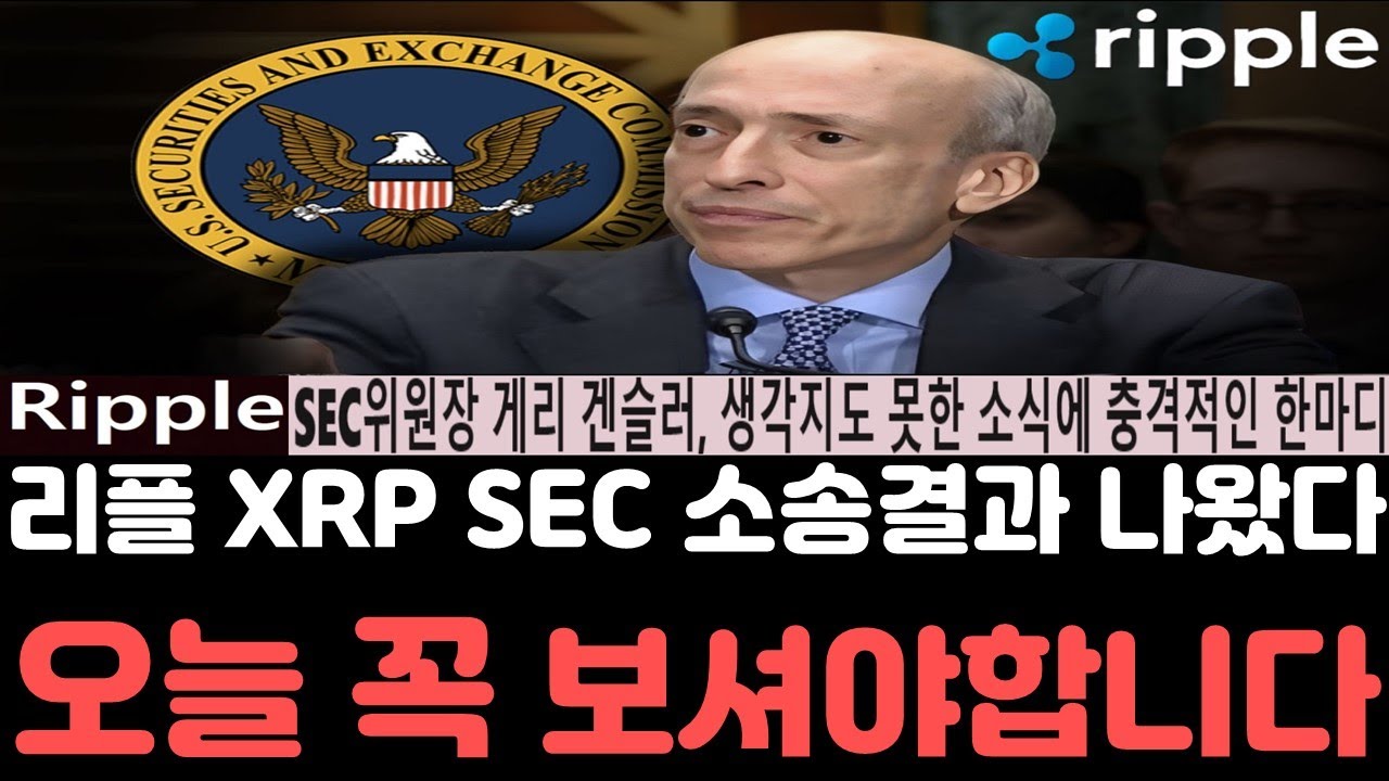 리플전망 리플 미국 대선이 얼마나 중요하면 소송결과를 이렇게 진작에 공개좀 하지오늘 영상은 꼭 보셔야합니다 리플전망 리플호재 리플급등 리플코인 리플소송