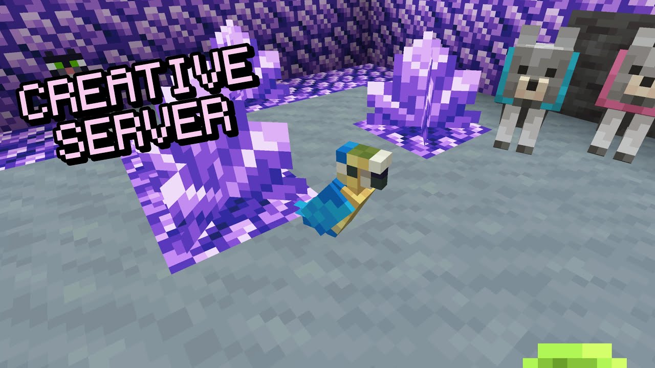 FINALLY Putting Pets In The Pet Room! | Minecraft Creative Server - YouTube